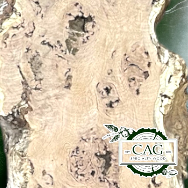 Burl Oak Slabs