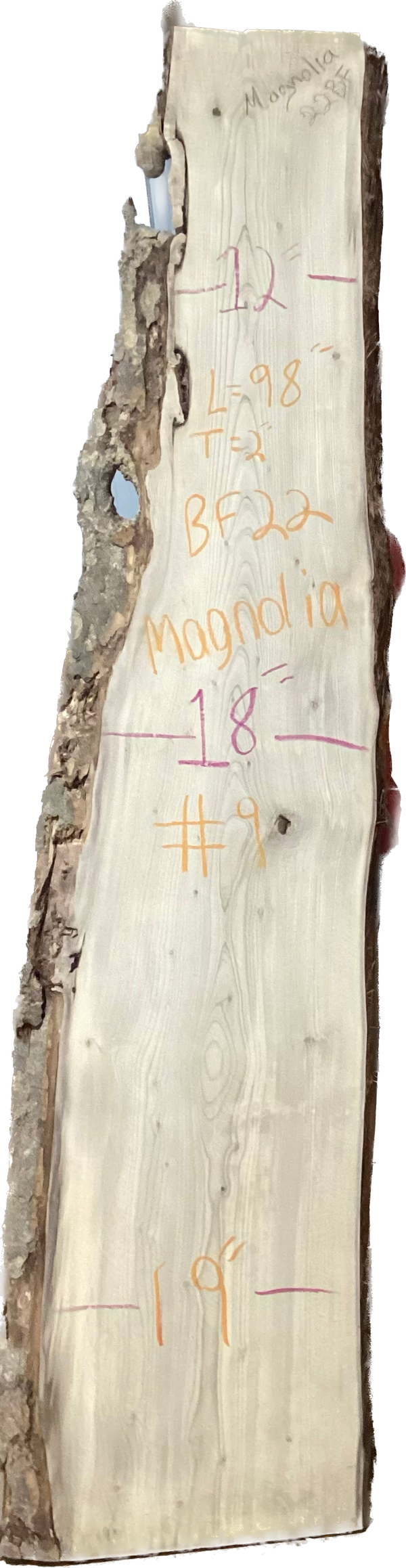 Magnolia Slabs