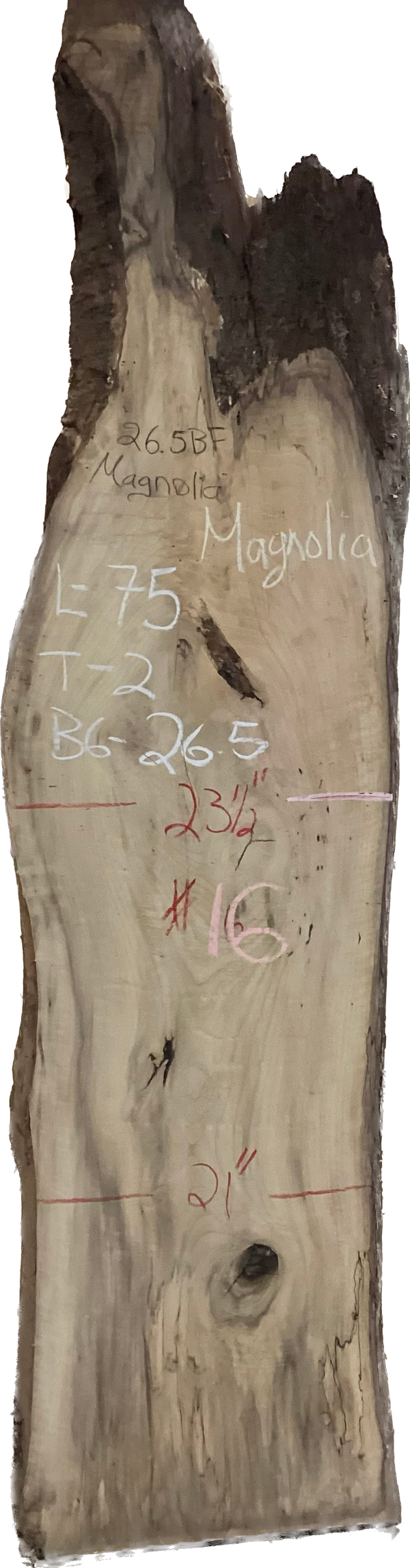 Magnolia Slabs