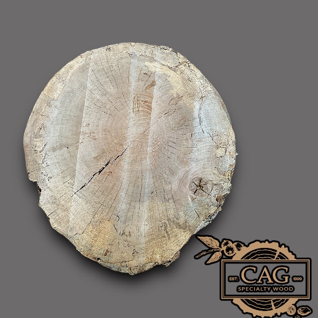 Spalted Maple Crosscuts
